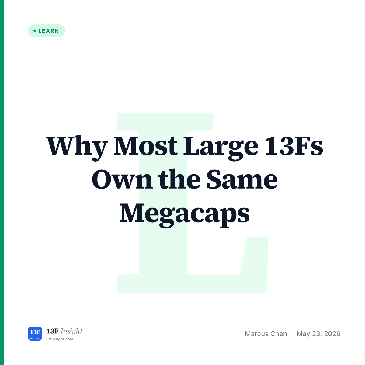 Why Large 13Fs Cluster in Megacaps | 13F Insight